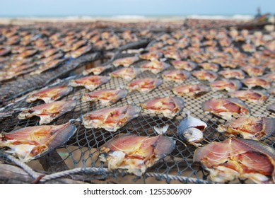 Dried Fish Making Process Local Thailand Stock Photo 1255306909 ...