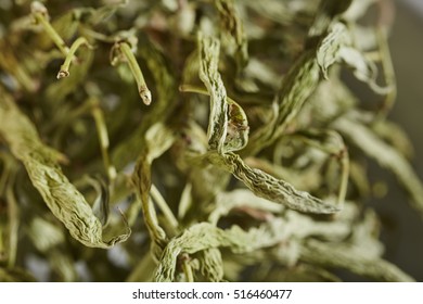 Shucky Images, Stock Photos & Vectors | Shutterstock