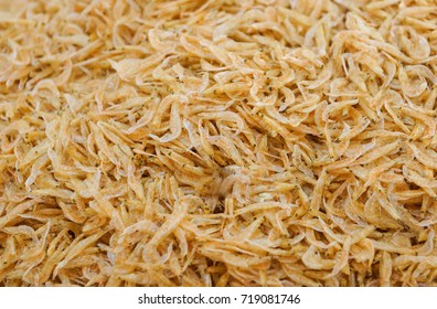 Krill Images, Stock Photos & Vectors | Shutterstock