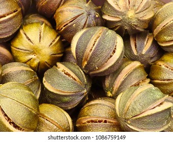 Dried Lime Pomanders Stock Photo 1086759149 | Shutterstock