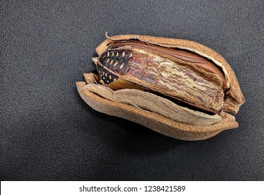 Dried Mahogany Fruit Split Open Fruit Stock Photo 1238421589 | Shutterstock