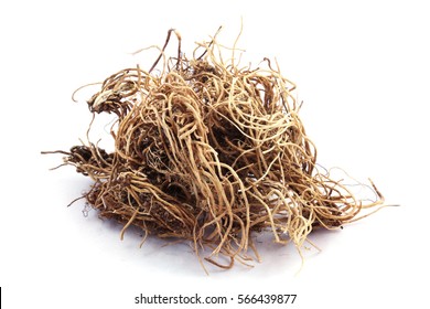 632 imágenes de Primula root - Imágenes, fotos y vectores de stock ...
