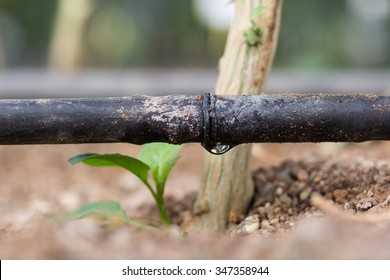 138 Integral dripper Images, Stock Photos & Vectors | Shutterstock
