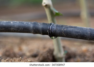 138 Integral dripper Images, Stock Photos & Vectors | Shutterstock