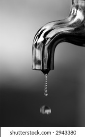 Drip Single Shot Stock Photo 2943380 | Shutterstock