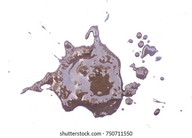 Drops Mud Pattern Isolated On White Stock Photo 750711550 | Shutterstock