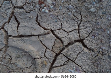 Drought Stock Photo 568448080 | Shutterstock