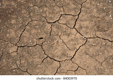 Drought Stock Photo 84003970 | Shutterstock