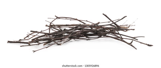 Dry Branches Twigs Isolated On White Stock Photo 1305926896 | Shutterstock Dry Branches Twigs Isolated On White Stock Photo 1305926896 | Shutterstock