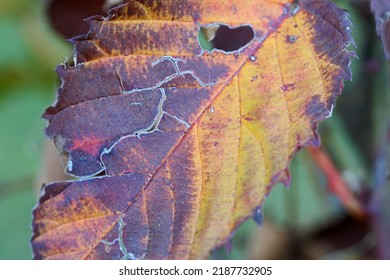 59,781 Dry edge Images, Stock Photos & Vectors | Shutterstock
