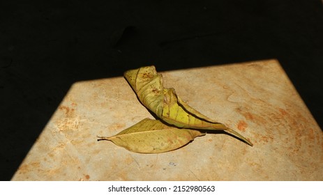 14,999 Drying under sun Images, Stock Photos & Vectors | Shutterstock