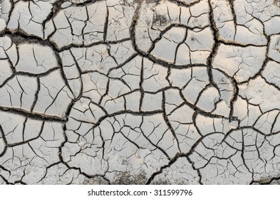 Try our API - Shutterstock