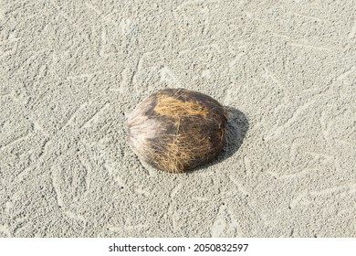700 Fallen coconuts Images, Stock Photos & Vectors | Shutterstock