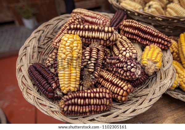 Dry Peruvian Corn Stock Photo (Edit Now) 1102305161