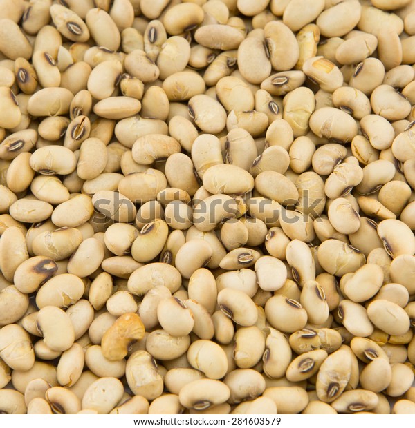 Dry Soybean Pattern Use Background Stock Photo 284603579 | Shutterstock