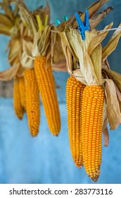 Drying Corn Under Canopy Stock Photo 283773116 | Shutterstock