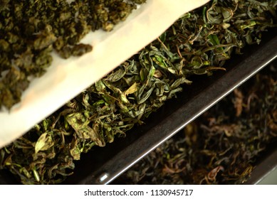 Drying Fermentation Tea Willow Stock Photo 1130945717 | Shutterstock