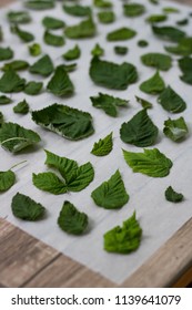 Drying Raspberry Leaves Tea Stock Photo 1139641079 | Shutterstock