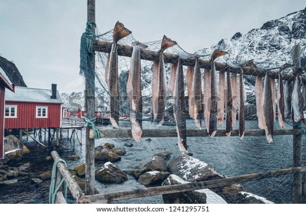 6,219 Lofoten Fish Images, Stock Photos & Vectors | Shutterstock