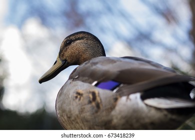 Stock Photo and Image Portfolio by Julie Machado | Shutterstock