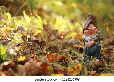 Stock Photo and Image Portfolio by G.Sza | Shutterstock