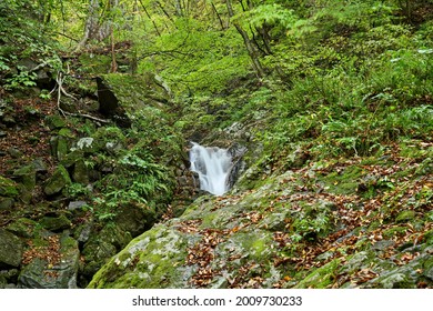 73 Akiu Valley Images, Stock Photos & Vectors | Shutterstock