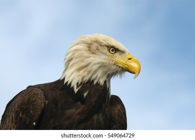 Stockfoto- und Stockbild-Portfolio von fotubi | Shutterstock