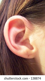 Ear Stock Photo 138874 | Shutterstock