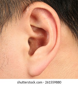 Human Face Ear Detail Closeup Macro Foto de stock 1476891512 | Shutterstock