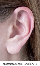 Ear Closeup Stock Photo (Edit Now) 643767949