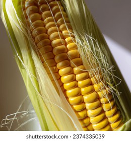 Educational Poster Showing Different Kinds Corn AI-generated image ...