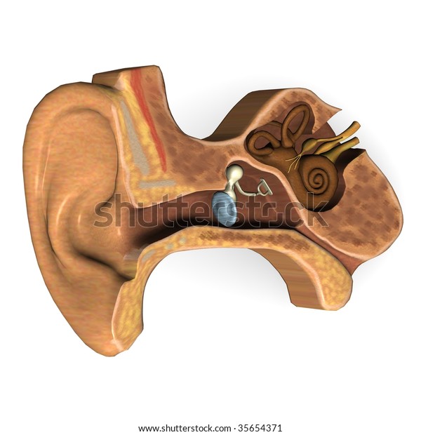 Ear Cut Stock Photo (Edit Now) 35654371