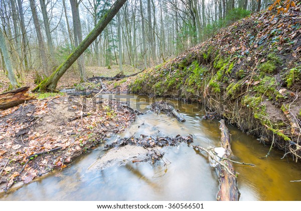 Early Spring Forest Small Stream Landscape Stock Photo 360566501 ...