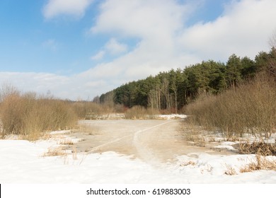 47 Eary Forest Images, Stock Photos & Vectors | Shutterstock