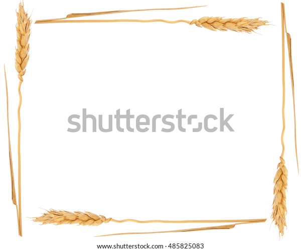 Ears Wheat Frame Stock Photo (Edit Now) 485825083