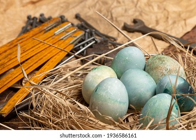 2,002 Engineer egg Images, Stock Photos & Vectors | Shutterstock