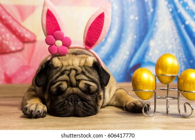 808 Easter Pug Images, Stock Photos & Vectors | Shutterstock