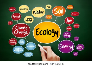 Ecology Mind Map Flowchart Concept Presentations Stock Photo 1844526148 ...