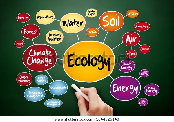 Ecology Mind Map Flowchart Concept Presentations Stock Photo 1844526148 ...