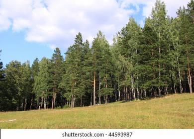 Edge Forest Stock Photo 44593987 | Shutterstock