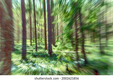 3,775 Speed Effect Forest Images, Stock Photos & Vectors | Shutterstock