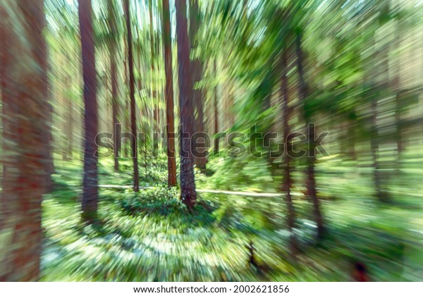 3,775 Speed Effect Forest Images, Stock Photos & Vectors | Shutterstock