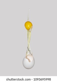 4,814 Falling egg Images, Stock Photos & Vectors | Shutterstock