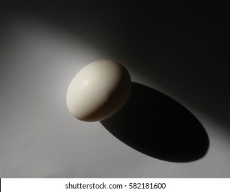 50,660 Egg shadow Images, Stock Photos & Vectors | Shutterstock