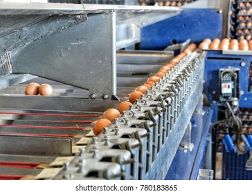 Egg Seperator Machine Sorting Egg By Stock Photo 780183865 | Shutterstock