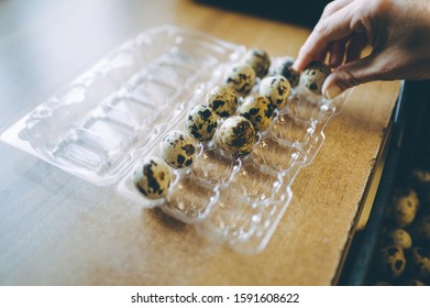 Egg Shell Plastic Worker Sorting Packaging Stock Photo 1591608622 ...