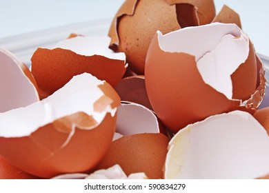 Egg Shell Texture Egg Shells Background Stock Photo 590834279 ...
