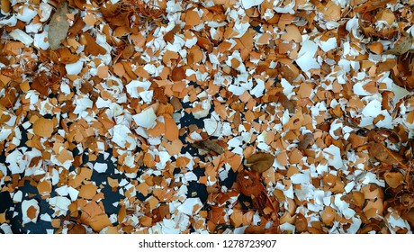 Egg Shell Texture Wallpaper Dry Egg Stock Photo 1278723907 | Shutterstock