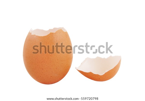 Egg Shells Isolated On White Background Stock Photo 559720798 ...