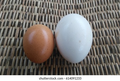 Chicken egg size comparison : 206 images, photos et images vectorielles ...